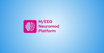 Search :: Non-invasive Brain Stimulation - UNIGE Research Core ...