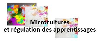 Microcultures de classe et régulation des apprentissages - Évaluer ...