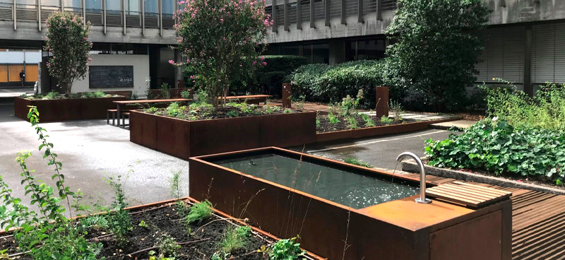 La durabilité progresse dans l'enseignement supérieur suisse - - UNIGE