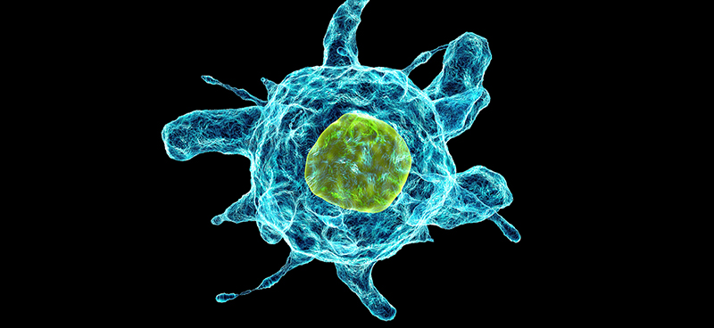 La cellule en toute intimité - - UNIGE