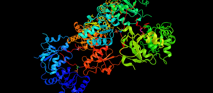 Localiser les mutations des gènes BRCA pour mieux traiter le cancer de ...